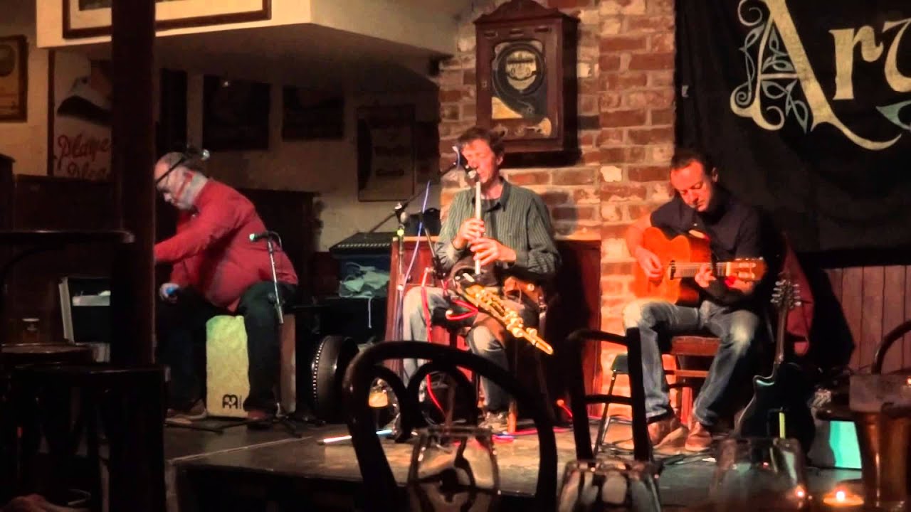 Arundo @ Counihans Bar Cork Irland 2014 1/3