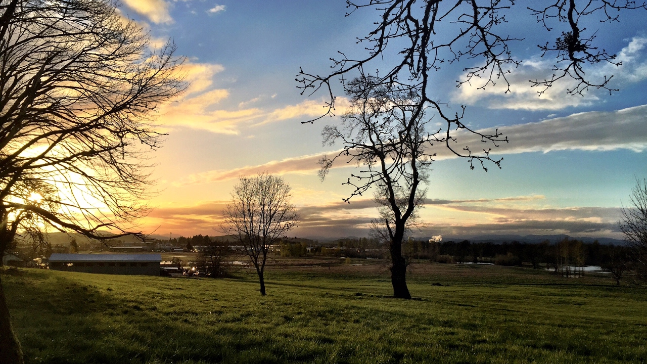Explore Oregon Recreation:  West Eugene Wetlands
