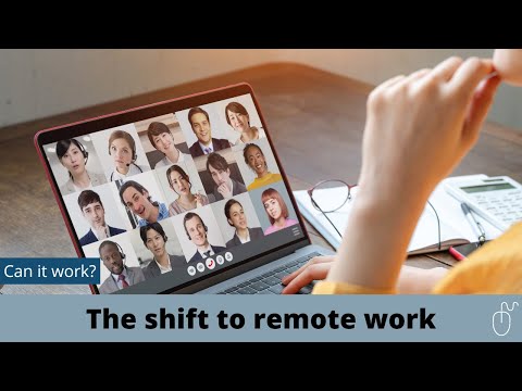 The Benefits and Challenges of Remote and Hybrid Work: Insights from a Technology Company
