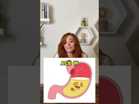 Still Bloated on PPIs? Here’s What Your Doctor Didn’t Tell You