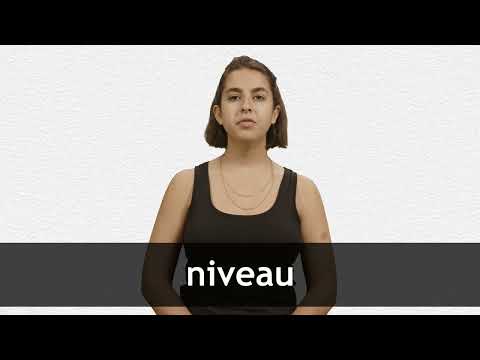 English Translation of “NIVEAU” | Collins French-English Dictionary