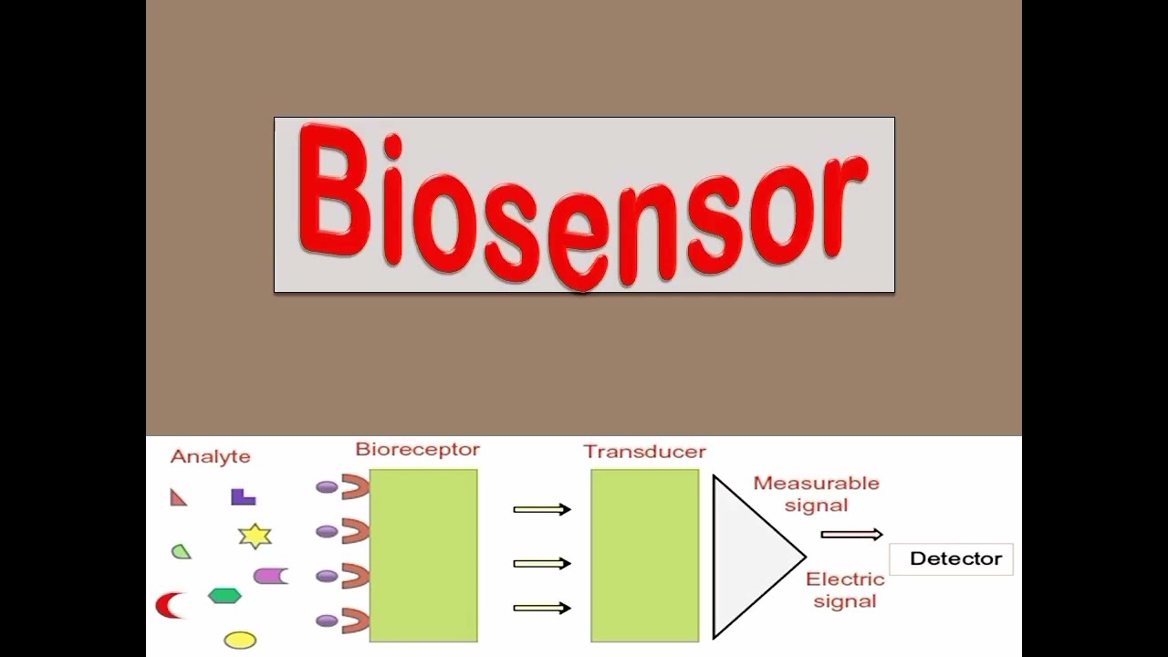 Biosensor |ppt