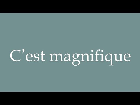 How to Pronounce ''C'est magnifique'' (It is beautiful) Correctly in French