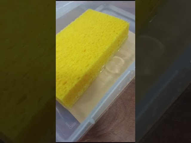 Viskovita Sponzes - Viskovita Sponges Imported Manufacturer from New Delhi