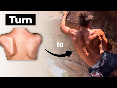 The Missing Link For Your Shoulders? Fixing Winged Scap and Weak Serratus