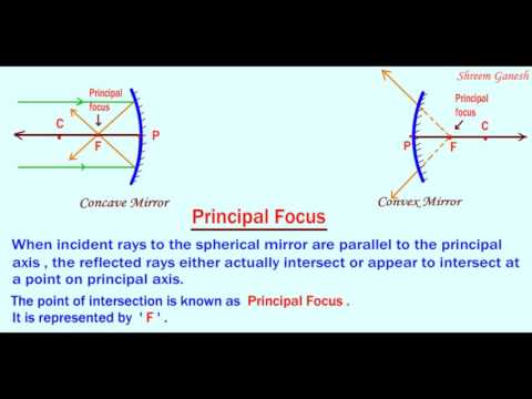 Define Principal Focus of a spherical mirror. Light : Refleaction and Refraction class 10 Science