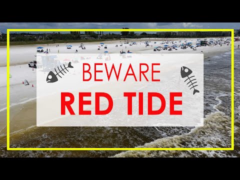 What is FLORIDA RED TIDE On The Gulf Coast? Siesta Key Red Tide / Red Tide Explained
