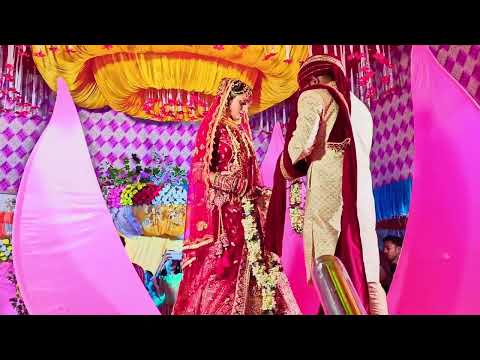 Varmala pahnaungi Piya Ke Rang Rang Jaungi / वरमाला पहनाऊंगी पिया के रंग रंग जाऊंगी | Jayamala Video