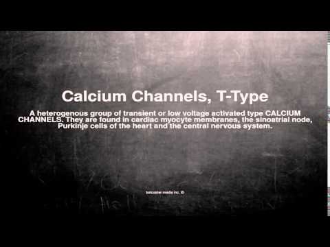 Medical vocabulary: What does Calcium Channels, T-Type mean
