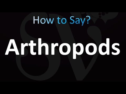 How to Pronounce Arthropods (Correctly!)