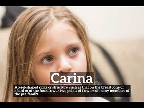 How to Say Carina in English? | How Does Carina Look? | What is Carina?
