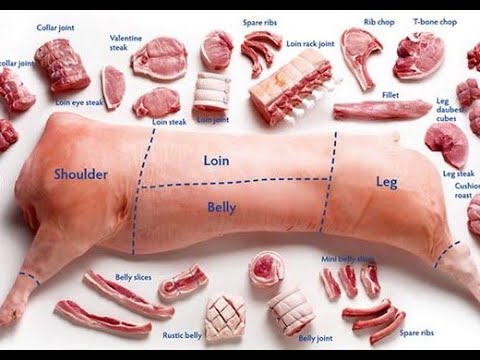 Butcher Hog Cut Sheet : Top Picked from our Experts