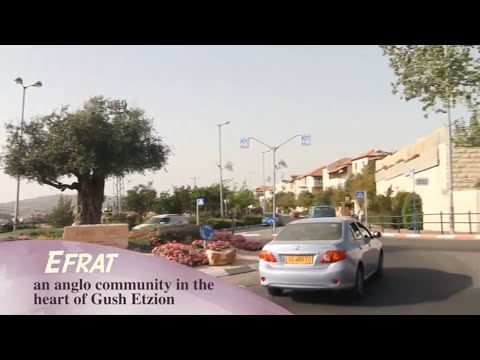 Efrat - an anglo community in the heart of Gush Etzion
