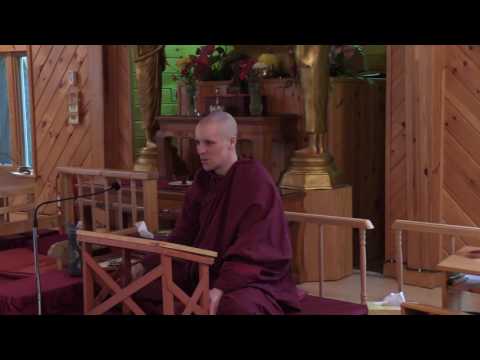 Becoming the Embodiment of Metta in your Daily life