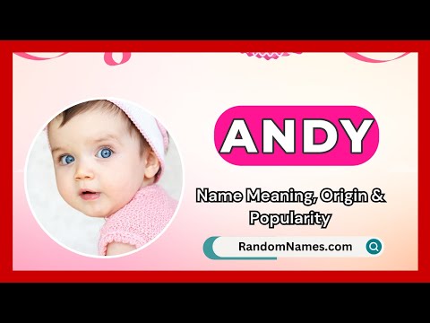 Andy - Baby Girl Name Meaning, Origin & Popularity - RandomNames.com