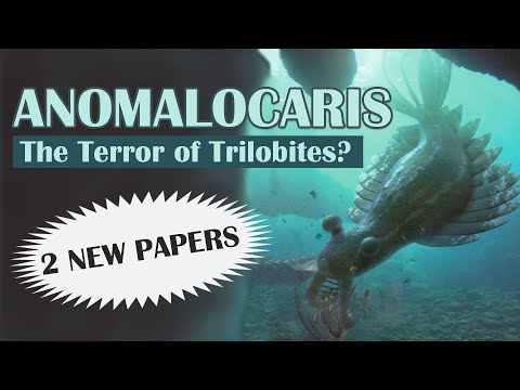 Did Anomalocaris Hunt Trilobites?