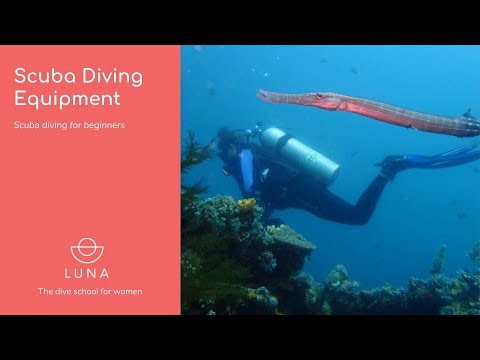 Scuba Diving Equipment for Beginners