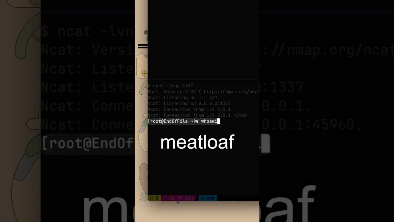 Bash reverse shell #learnlinux #2025 #programming #python #linux #hacking #code #programminglanguage
