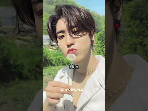 Stray Kids Fam