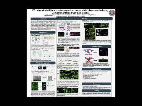 Discover 2024 - U68 - Karen Juanez (Biology)