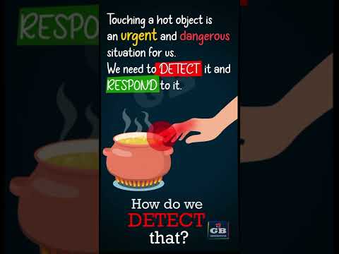 Response to stimulus #controlandcoordination | 10th Biology #CBSE | NCERT class 10 science #shorts