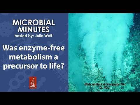 Was enzyme-free metabolism a precursor to Krebs?