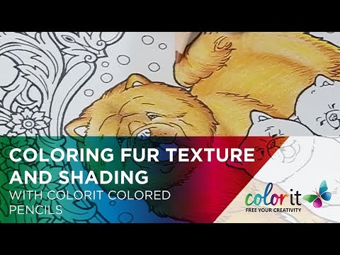 Coloring Dogs Fur With Colored Pencils Tutorial