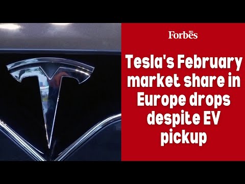 Tesla's February market share in Europe drops despite EV pickup