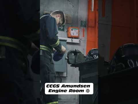 Ever wanted to work on ship engines? Apply today!