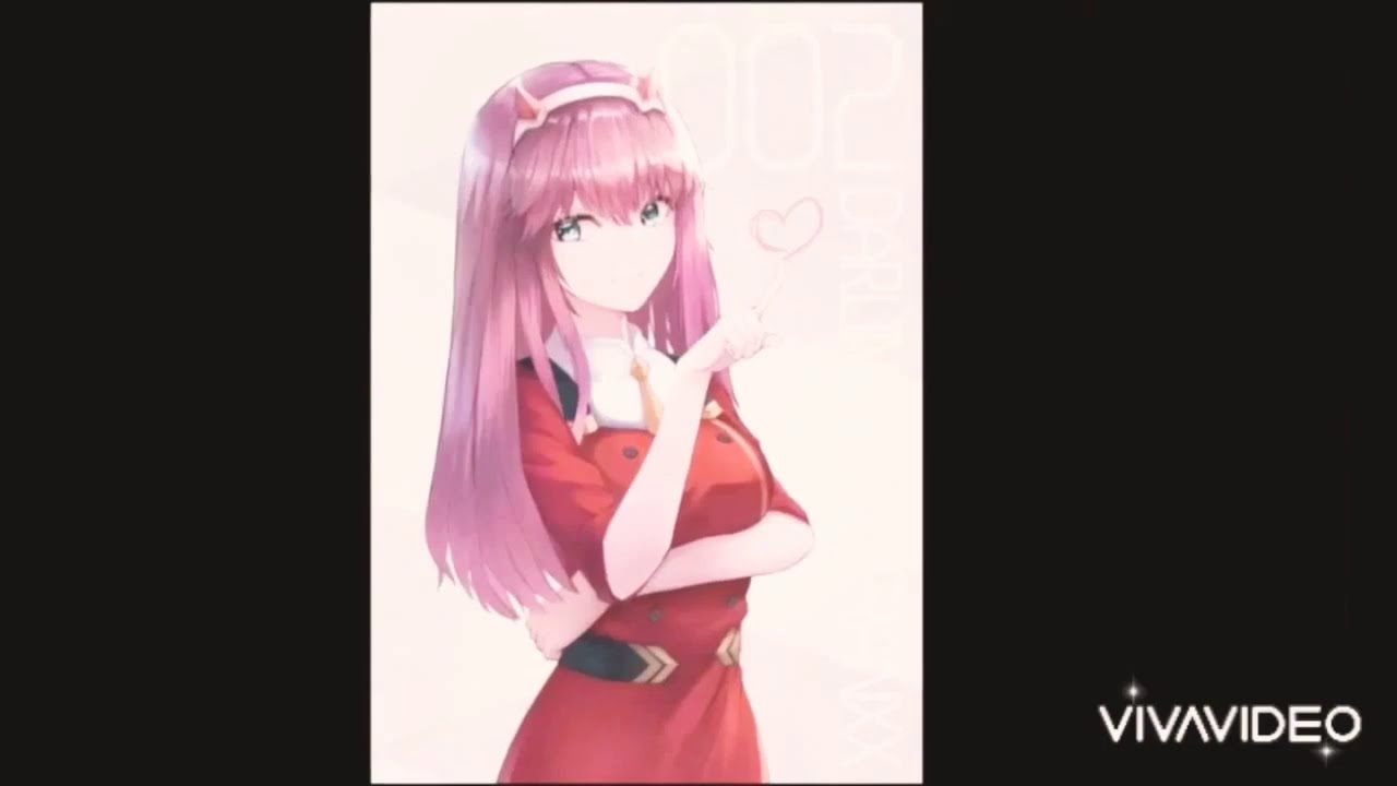 Zero two pictures