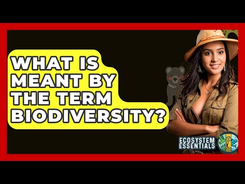 What Is Meant By The Term Biodiversity? - Ecosystem Essentials
