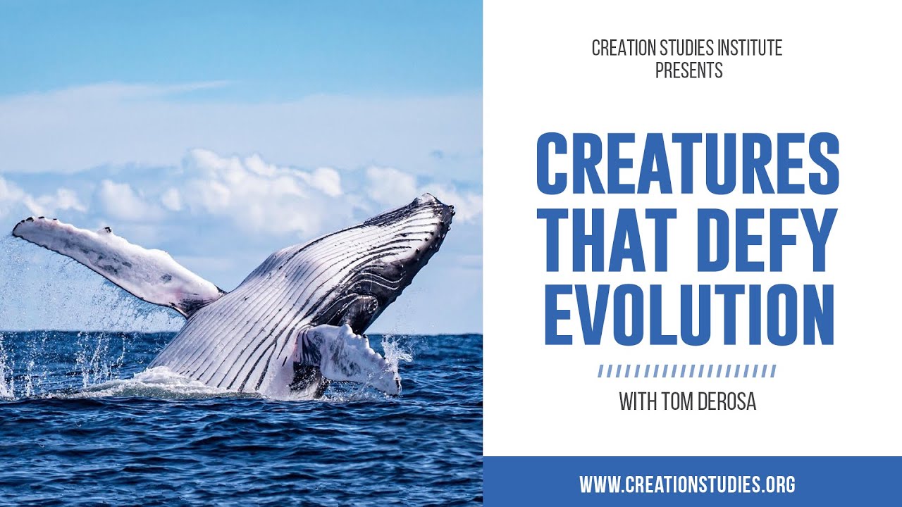 Creatures that Defy Evolution – Creation Studies Institute