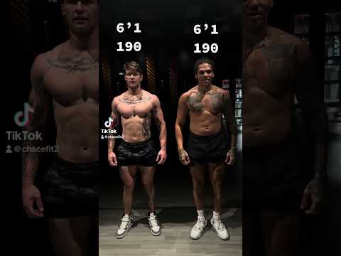 Different Body Types