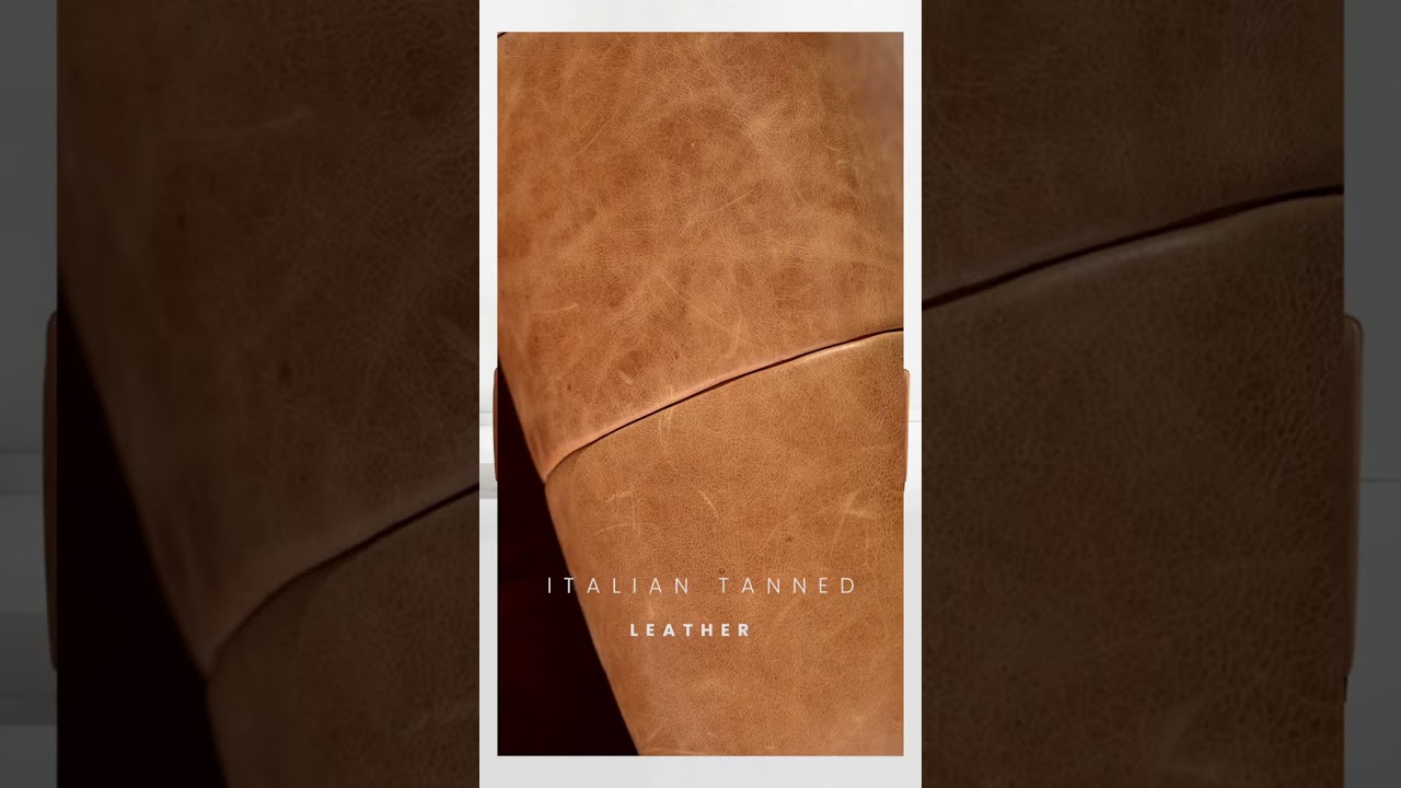 Canale Sofa by Poly & Bark | mid-century modern sofa, leather sofa, modern couch, minimalist design