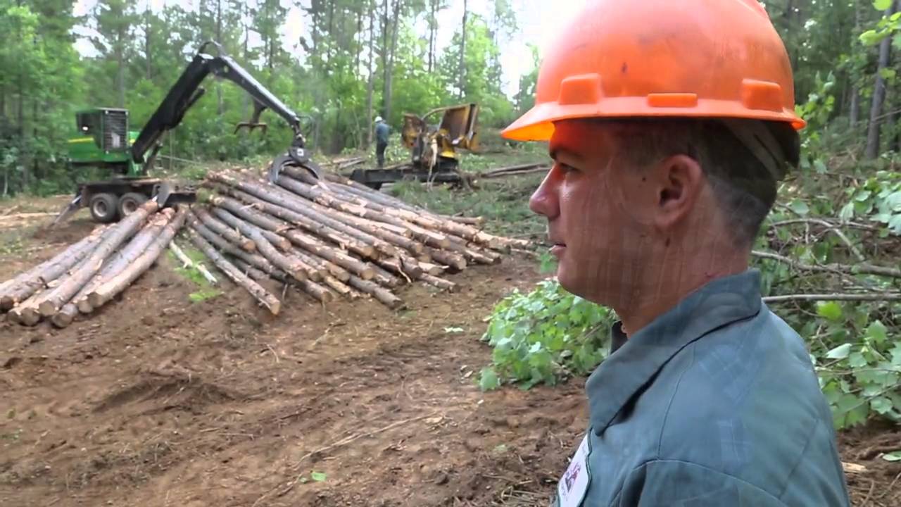 ForestryWorks Forester - Justin