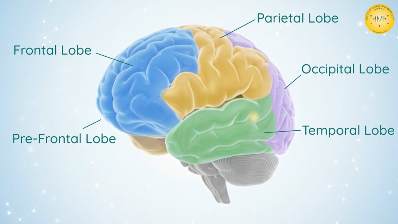 Explainer video on mind mapping