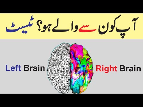 Are You Right Or Left Brain Dominance ? Personality Test In Urdu