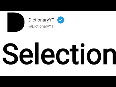 Selection Meaning in English