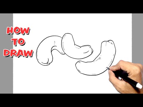 How to Draw Cashew nut Step by Step – I'm Youtuber – Follow my videos ...