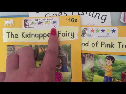 Teaching a multi-age primary class to read and spell with decodable readers
