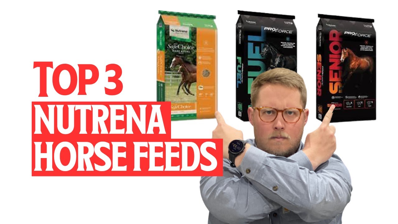 Top 3 Nutrena Horse Feeds