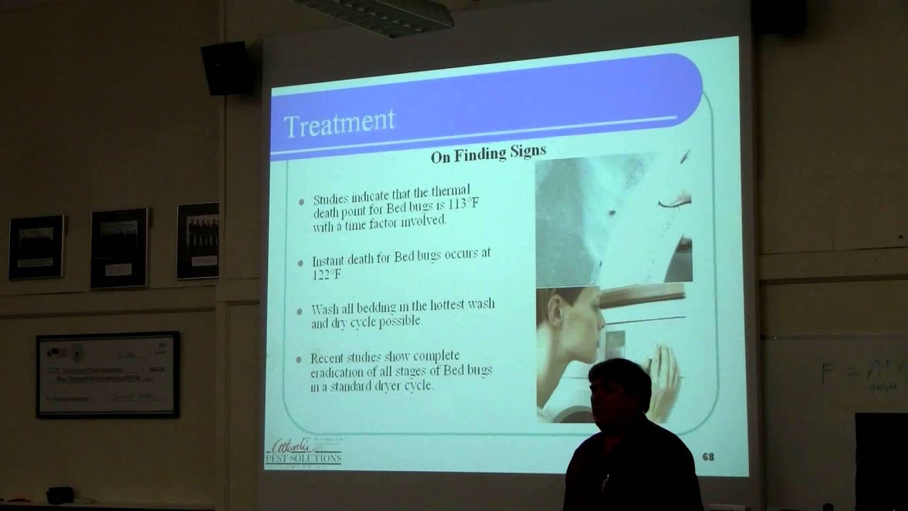 Bed Bugs Presentation