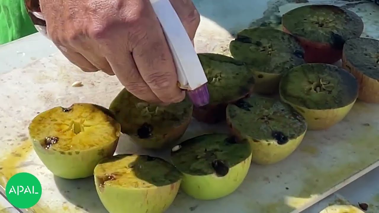 Maturity testing in apples - APAL Future Orchards®