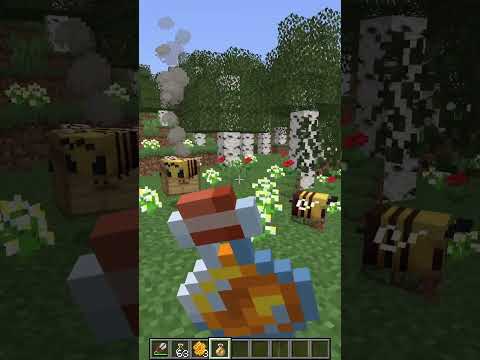 Everything you NEED to know about bees in Minecraft!