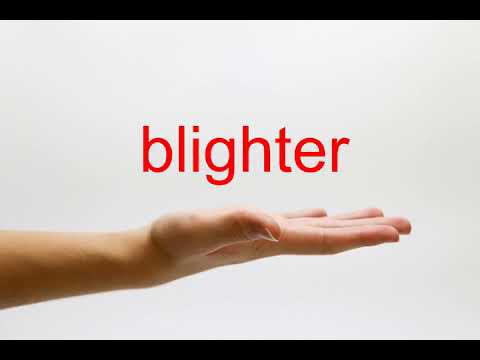 How to Pronounce blighter - American English