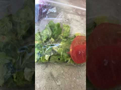 Bagged Salad