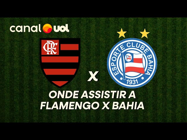 Jogo do Flamengo hoje (10) no Brasileirão: veja onde assistir ao vivo
