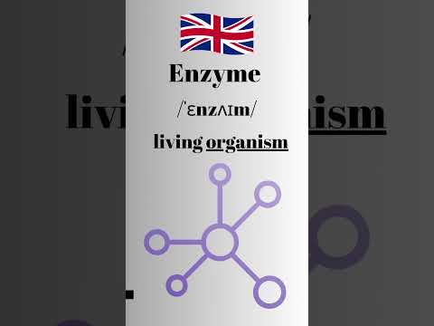How to Pronounce Enzyme in English British Accent #learnenglish #learnenglishtogether