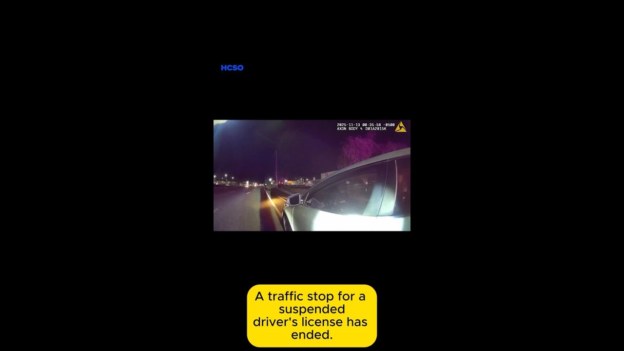 Traffic stop turns into drug bust in Hillsborough County