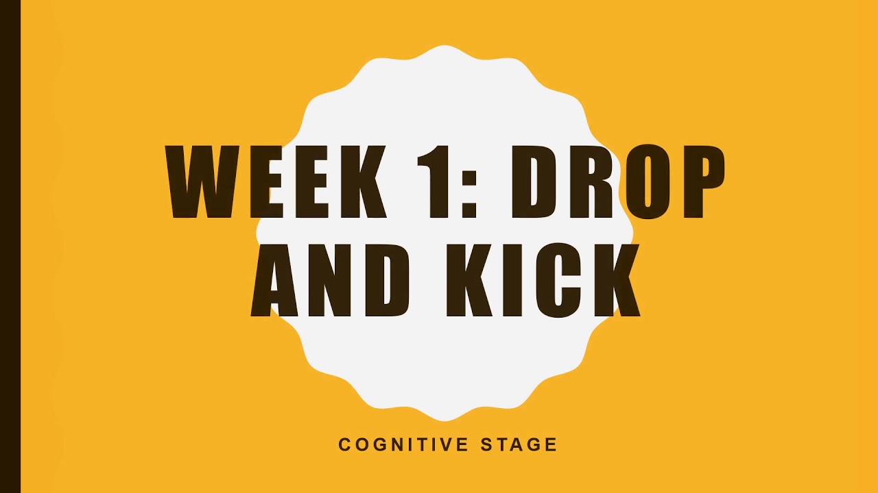 EXSC230 AFL Case Study